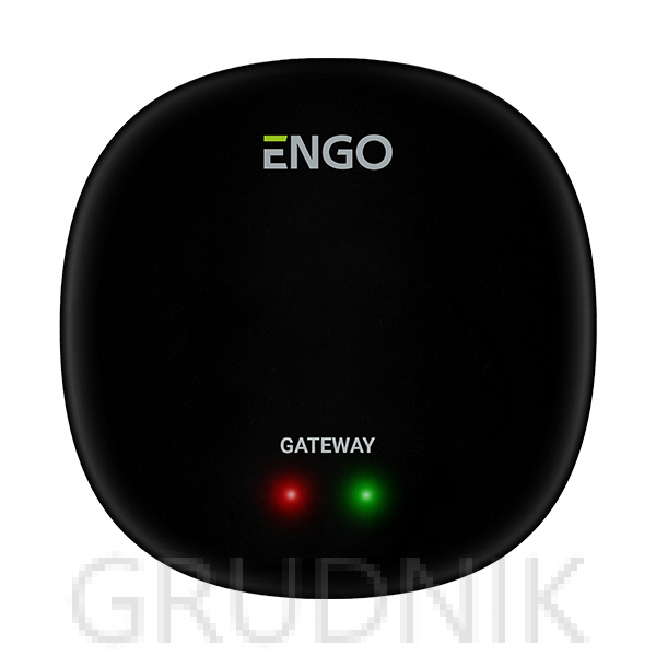 Bramka internetowa ZigBee do urządzeń serii ENGO Smart 1016509